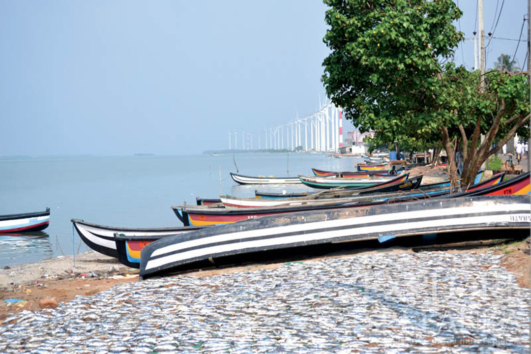Cities - Booking Sri Lanka