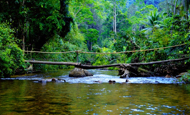 Trekking the Sinharaja Forest Reserve - Booking Sri Lanka