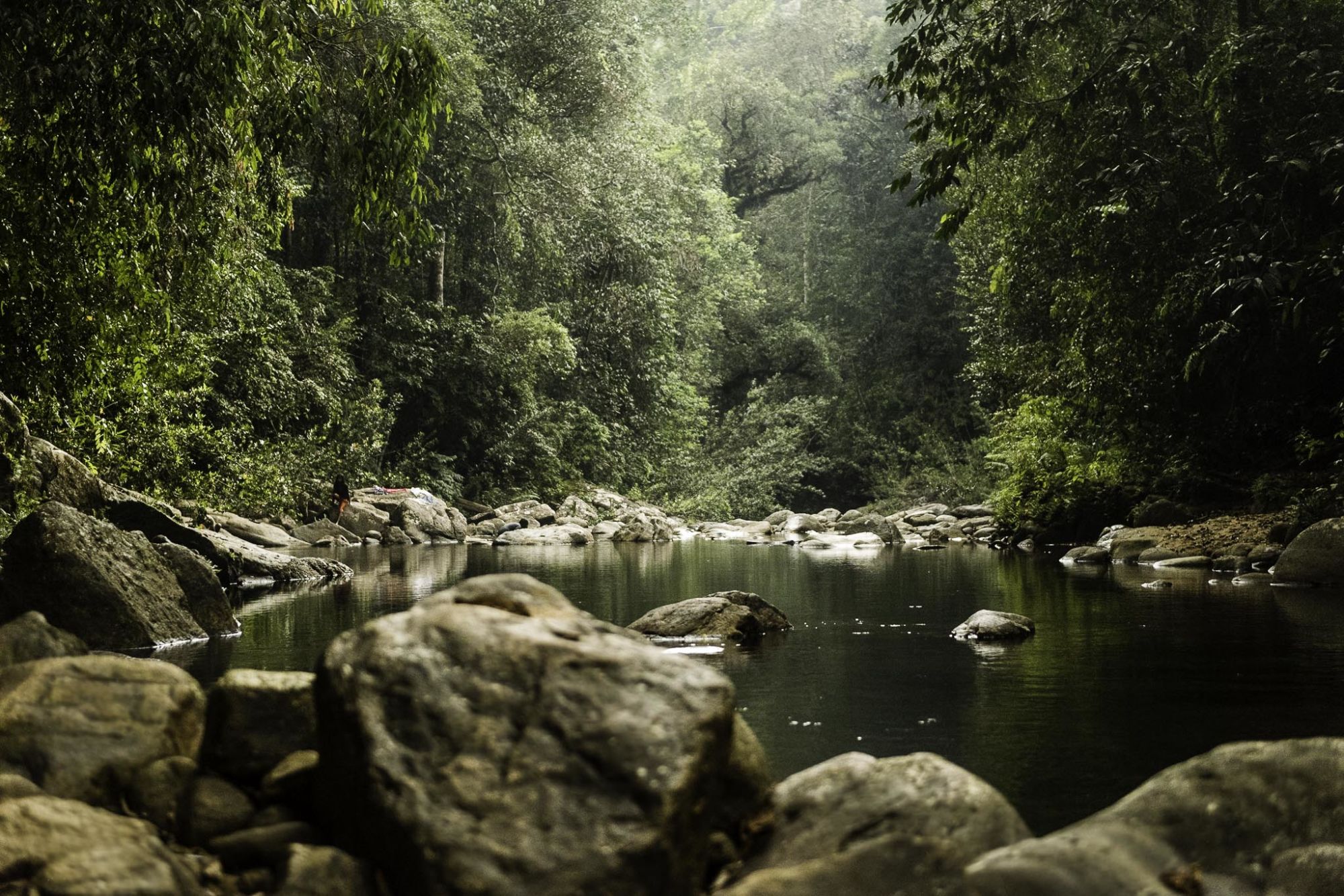 Sinharaja - Booking Sri Lanka