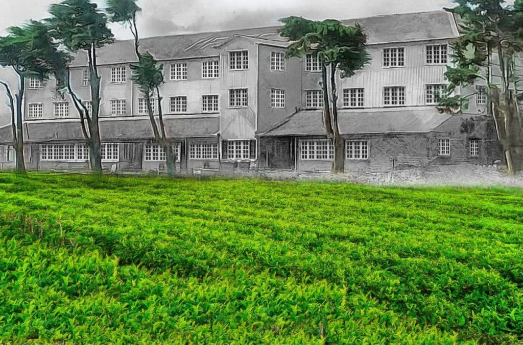 Things To Do - Booking Sri Lanka